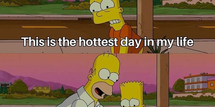 Memes hebben macht en worden steeds vaker ingezet voor progressieve do ...